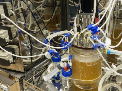 Recognizing the Potential Impact of Agitation Directionality On Oxygen ...