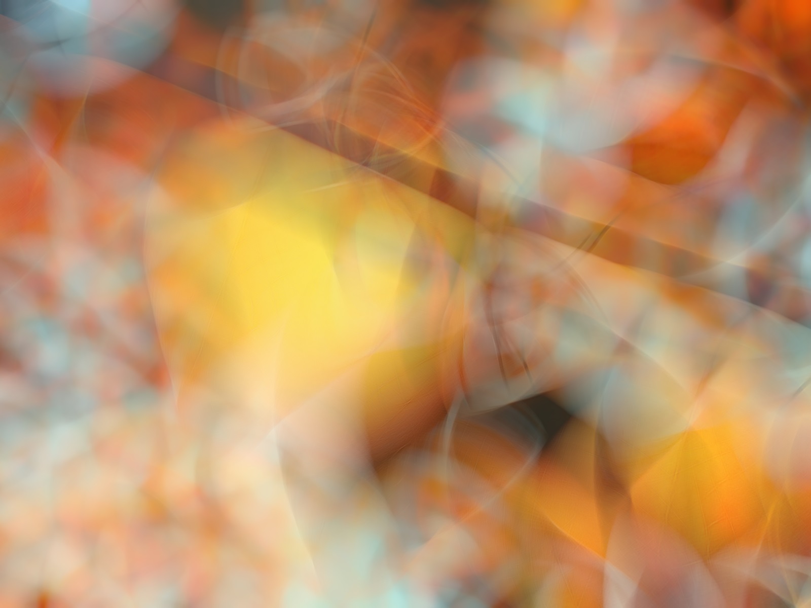 Decrease Needle To Needle Time For Autologous Cell Therapies With Rapid 5253