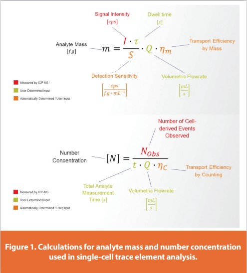 Detecting Trace Elements in Single Cells with ICP-MS | American Pharmaceutical Review - The ...