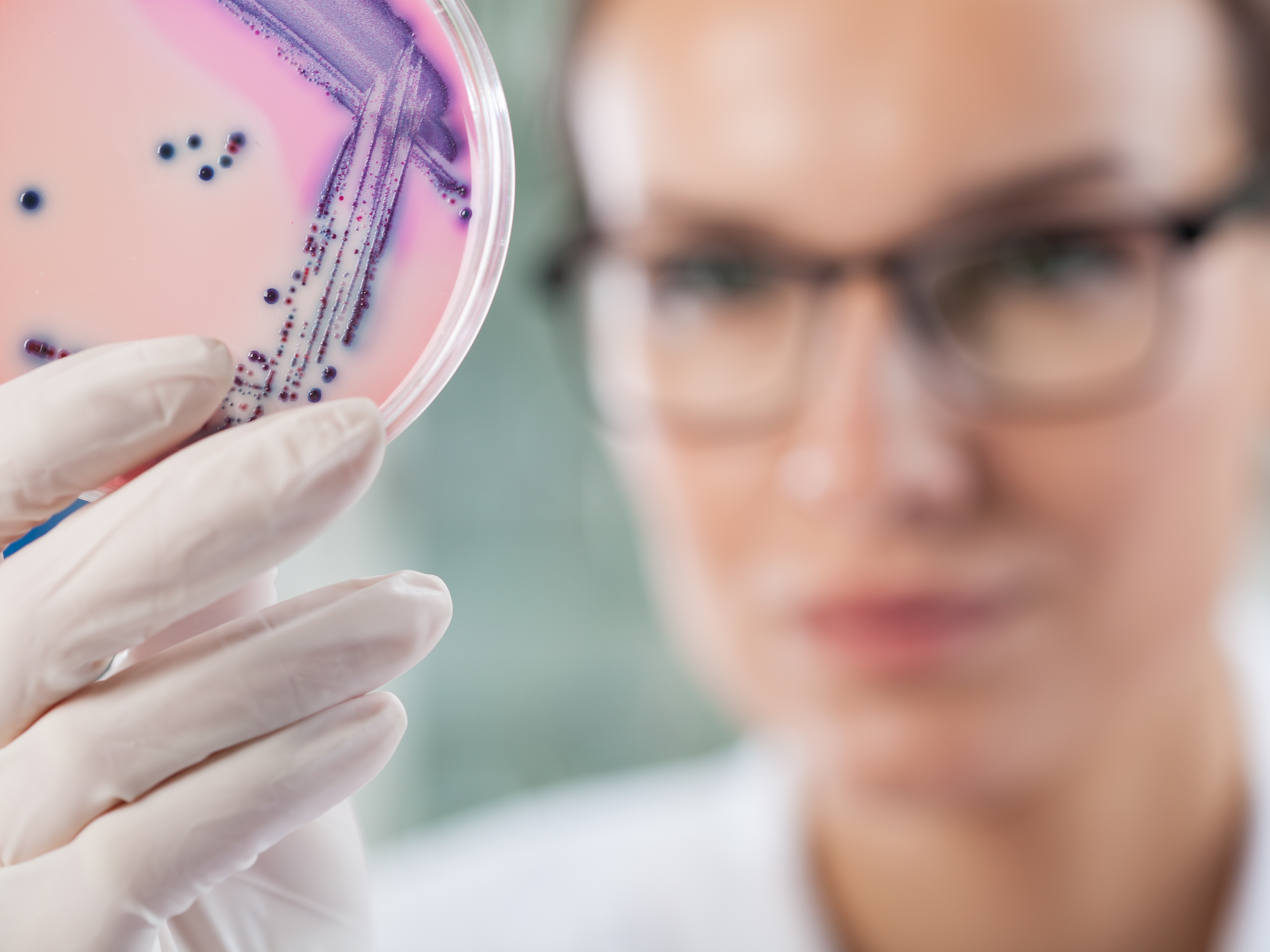 On-Demand Webinar | American Pharmaceutical Review - The Review of ...