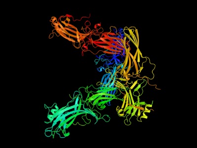 Protein Tagging Strategies for Analytical and Preparative Purifications ...