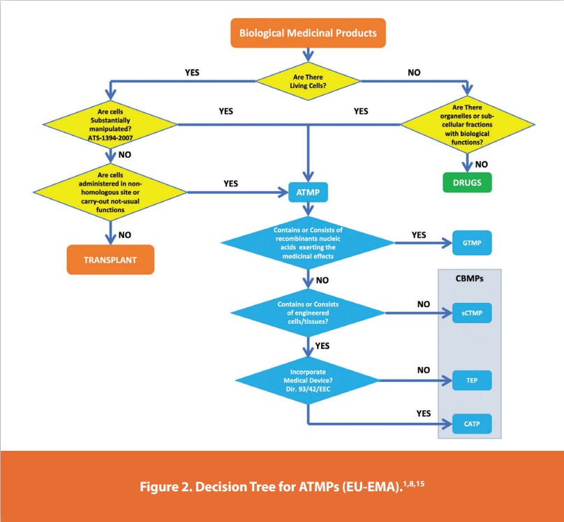 The Lifecycle of Drugs from Development to Approval and Market Launch ...