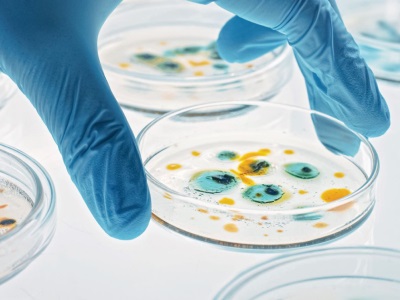 Improving Process and Data Integrity Using Rapid Microbial Methods ...