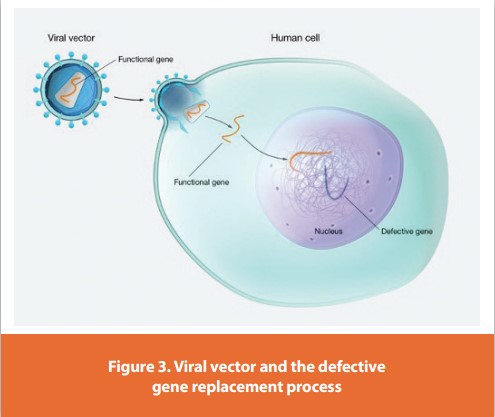 Cell and Gene Therapy Domain and Regulation | American Pharmaceutical ...