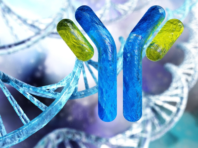 Biocytogen Pharmaceuticals Enters into License Agreement with Pheon ...