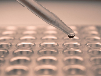 Risk Analysis for the Adoption of the Recombinant Factor C Reagent for ...