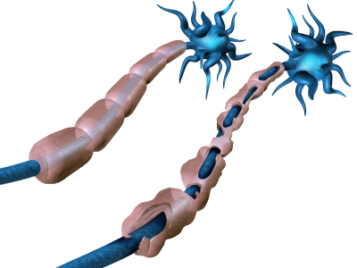 Sandoz Receives FDA Approval for Tyruko® a Biosimilar for Relapsing ...