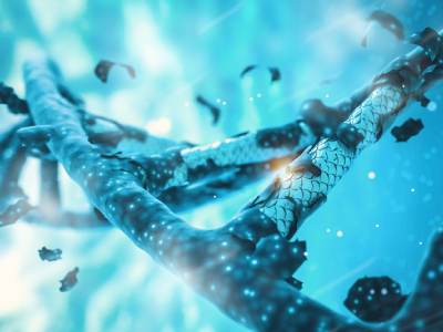 Editas Medicine Granted FDA Regenerative Medicine Advanced Therapy ...