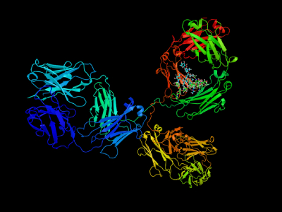 Biotheus Partners with BioNTech to Develop Bispecific Antibody ...