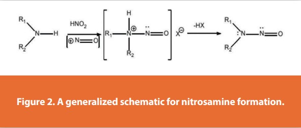Meeting the Evolving Need for Effective Nitrosamine Detection ...