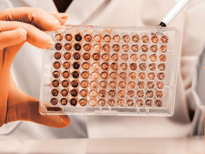 Embracing the Future: How In Vitro Assays Are Transforming Nonclinical ...