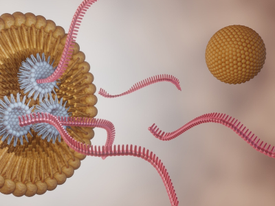 Driving Breakthroughs in mRNA Therapeutics with Advanced Analytical ...