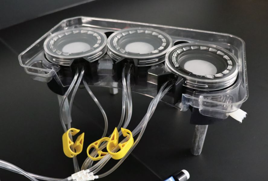 Growth Direct® Rapid Sterility System | American Pharmaceutical Review ...