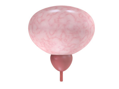 China's National Medical Products Administration Accepts Astellas and ...