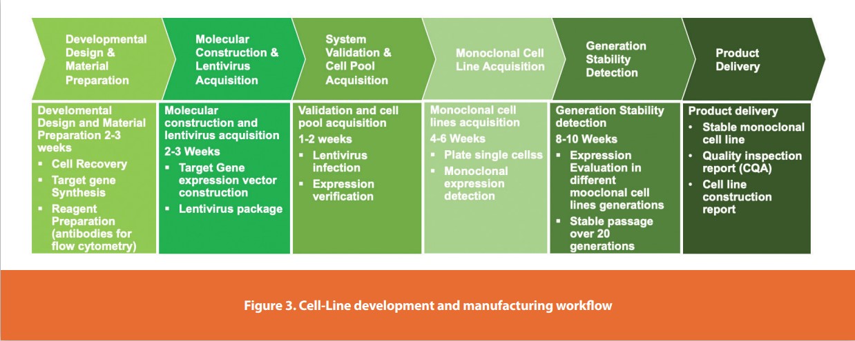 Viral Vector Process Development and Manufacturing | American ...