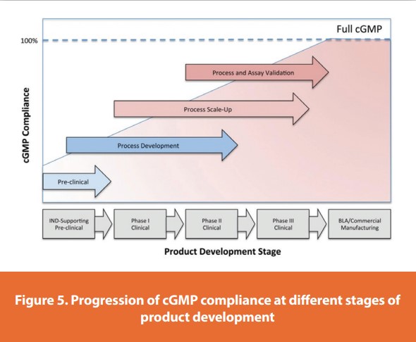 Viral Vector Process Development and Manufacturing | American ...