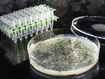 WACKER Expands Production Capacity for Biopharmaceuticals in San Diego ...