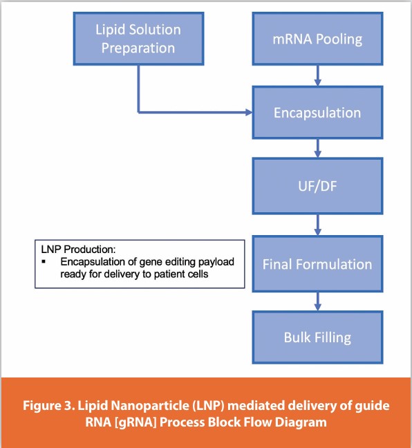 mRNA and Oligonucleotides Process and Manufacturing | American ...