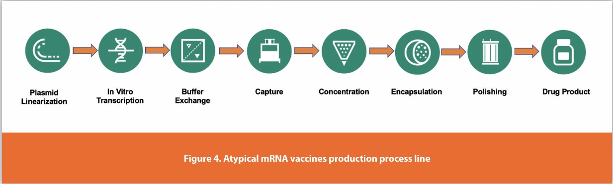 mRNA and Oligonucleotides Process and Manufacturing | American ...