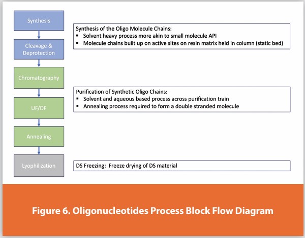 Bioprocessing mRNA and Oligonucleotides Process and Manufacturing ...