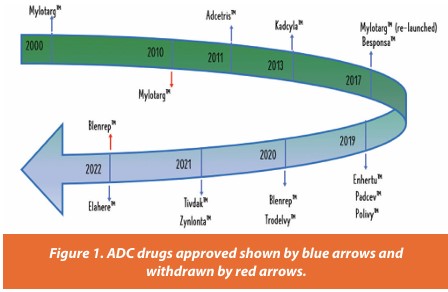 Delivery of Antibody Drug Conjugates via Lipid Nanoparticles | American ...
