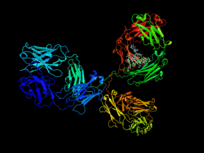 BioNTech and DualityBio Receive FDA Fast Track Designation for Antibody ...