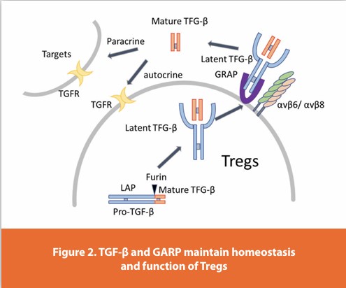 Tailored Treatment: Biomarkers and the Path to Precision Medicine Based ...