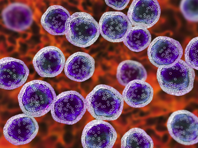 Amneal and Shilpa Announce FDA Approval of BORUZU a an RTU Version of ...