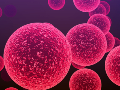 MinervaX and Wacker Biotech Announce Manufacturing Collaboration for ...