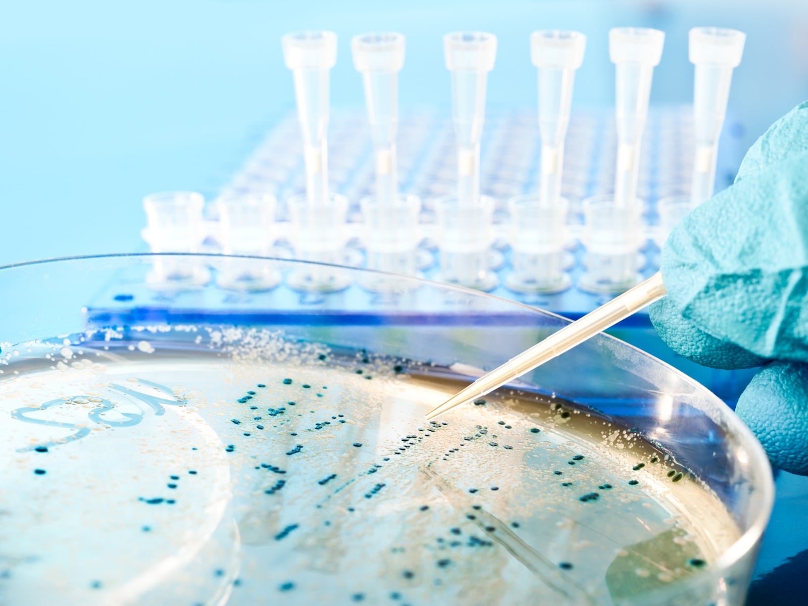 Instrumentation Revolutionizing Bioburden Testing | American ...