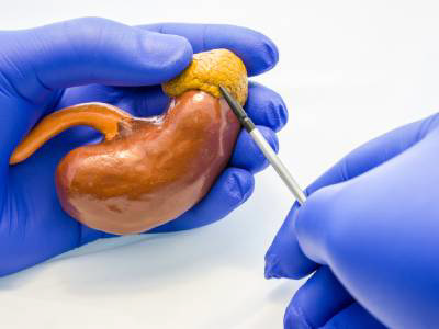 FDA Approves CRENESSITY™ for Children and Adults With Classic ...