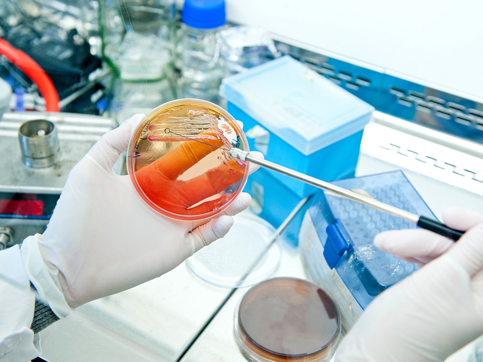 Pharmaceutical Sterility Testing | American Pharmaceutical Review - The ...