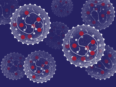 Sensitive and specific detection of mycoplasma DNA with the MycoSEQ ...