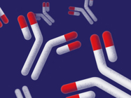 Home | American Pharmaceutical Review