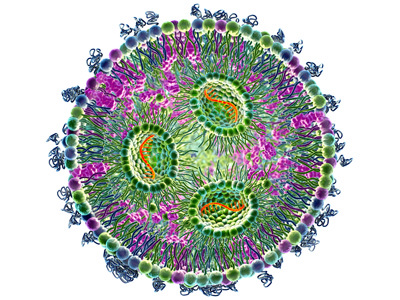 Strategies for endotoxin testing of RNA-LNP formulations | American ...
