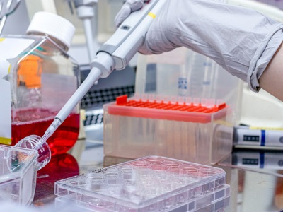 Cell Culture Growth Factors | American Pharmaceutical Review