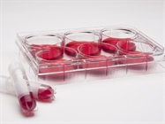 Cell Culture Kits | American Pharmaceutical Review