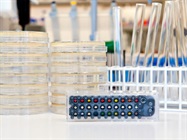 Endotoxin Testing Equipment | American Pharmaceutical Review