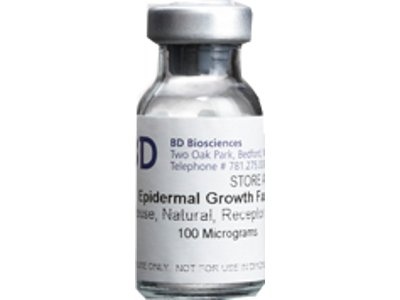 Epidermal Growth Factor (EGF), Mouse Natural (receptor grade) from BD ...