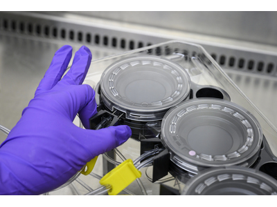 Microbial Detection Systems | American Pharmaceutical Review