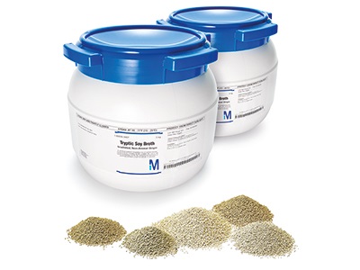 Cell Culture Media | American Pharmaceutical Review