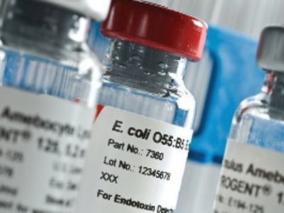 LAL Endotoxin Detection Assays | American Pharmaceutical Review